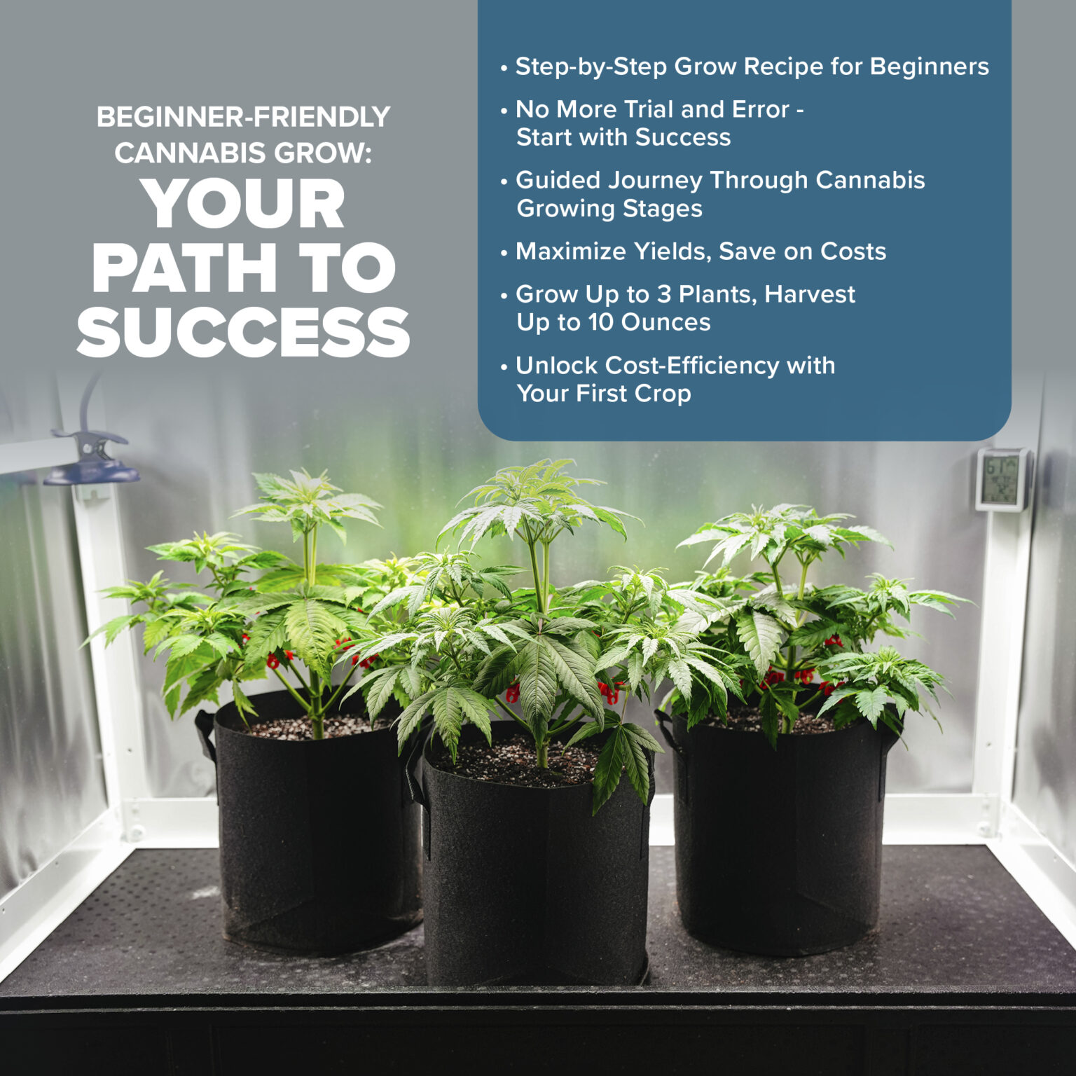 Complete Indoor Grow System | GROWCASE